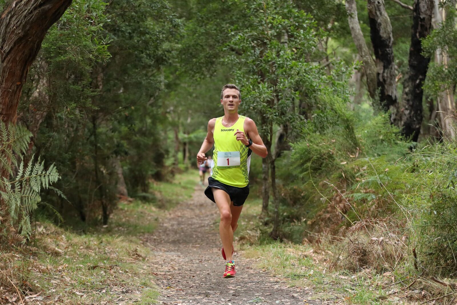 2018 Mountain to Surf Wrap — Lorne Surf Life Saving Club