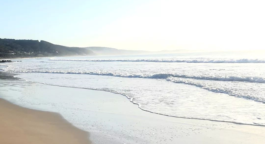 Lorne Mower December 2023 — Lorne Surf Life Saving Club