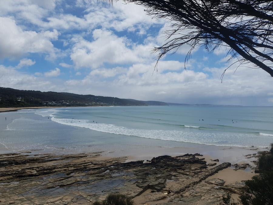 Lorne Mower March 2024 — Lorne Surf Life Saving Club